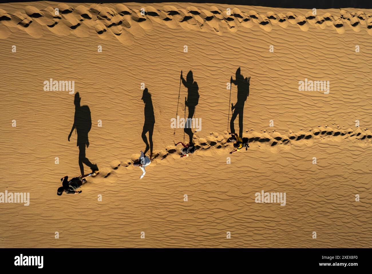Aerial drone photo of group of four silhouettes are walking at sunset ...