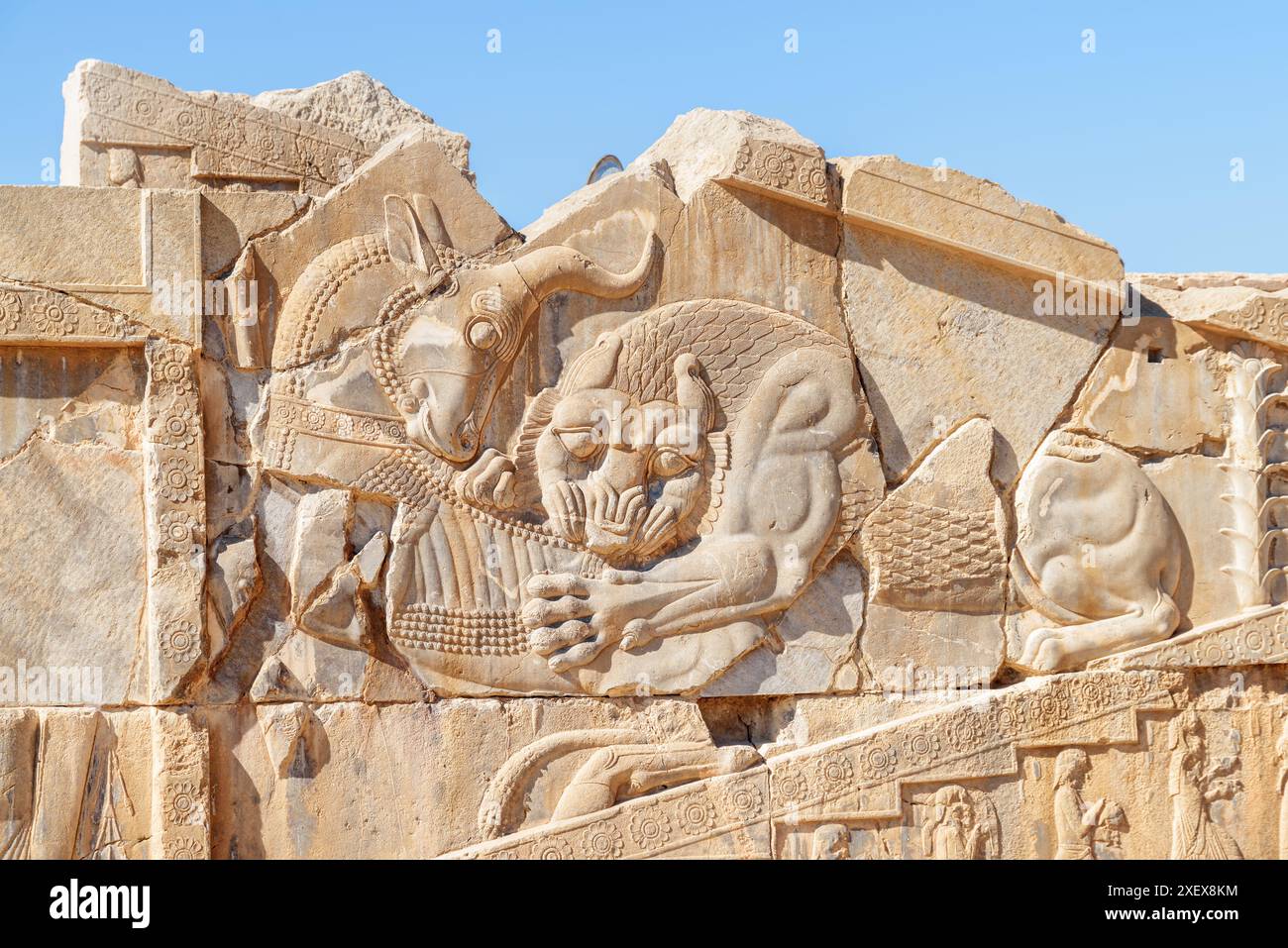 Bas-relief of a lion attacking a bull in Persepolis, Iran. Ancient ...