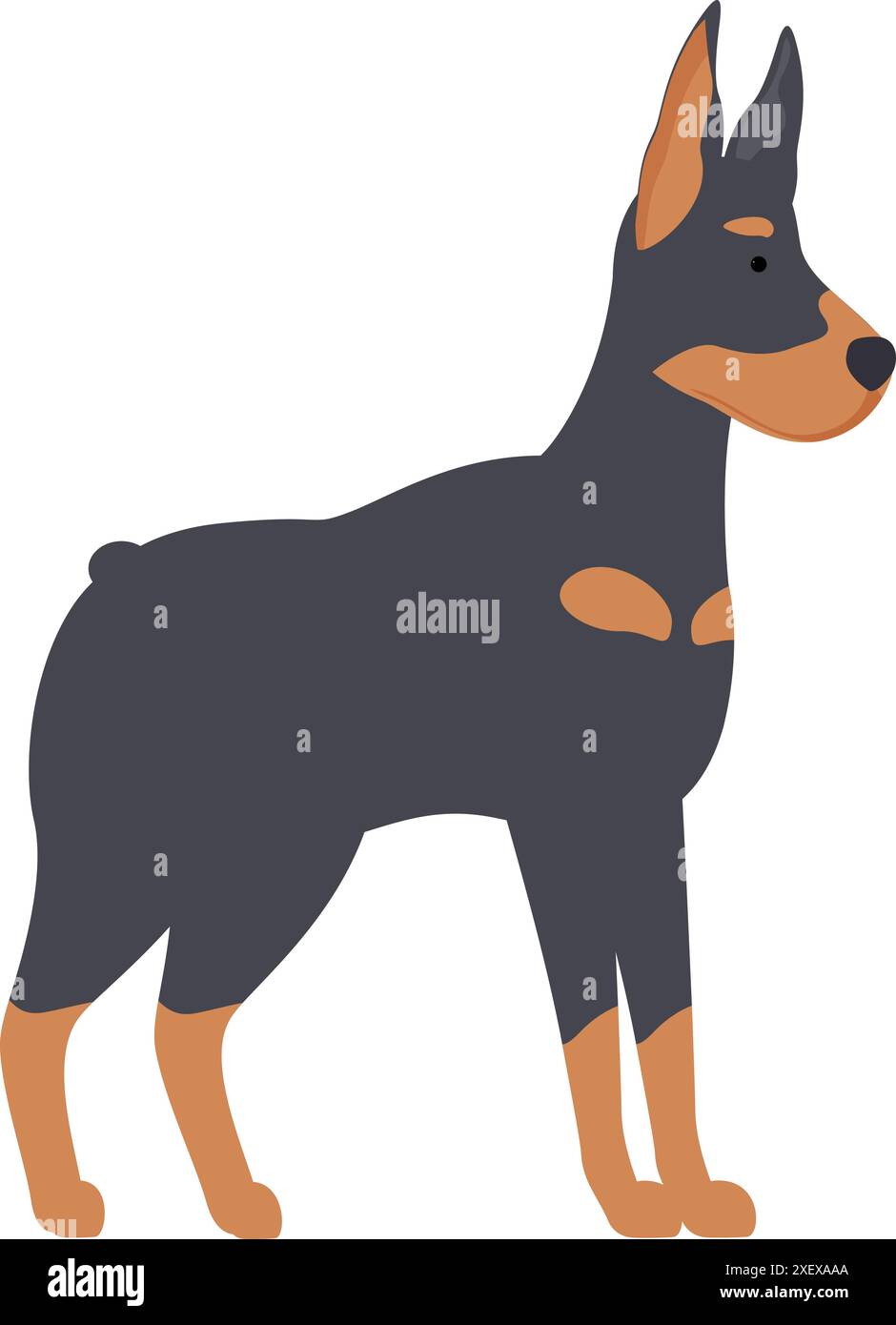 Guard dog doberman pinscher standing Stock Vector Images - Alamy