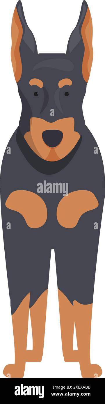 Doberman pinscher standing, a large, muscular dog breed known for its ...