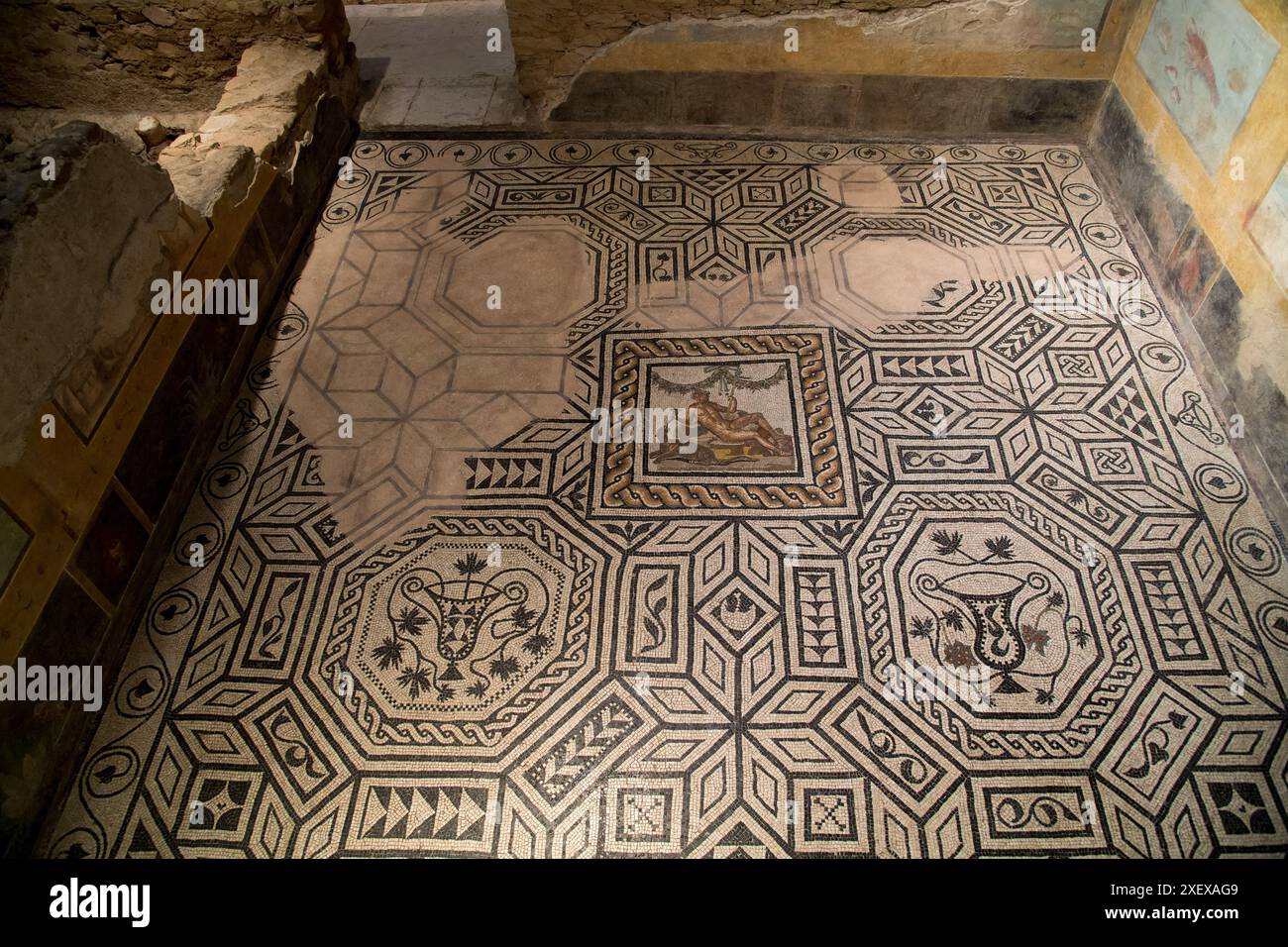 Roman mosaic floor in Domus of Dionysus from II AD in Domus dell ...