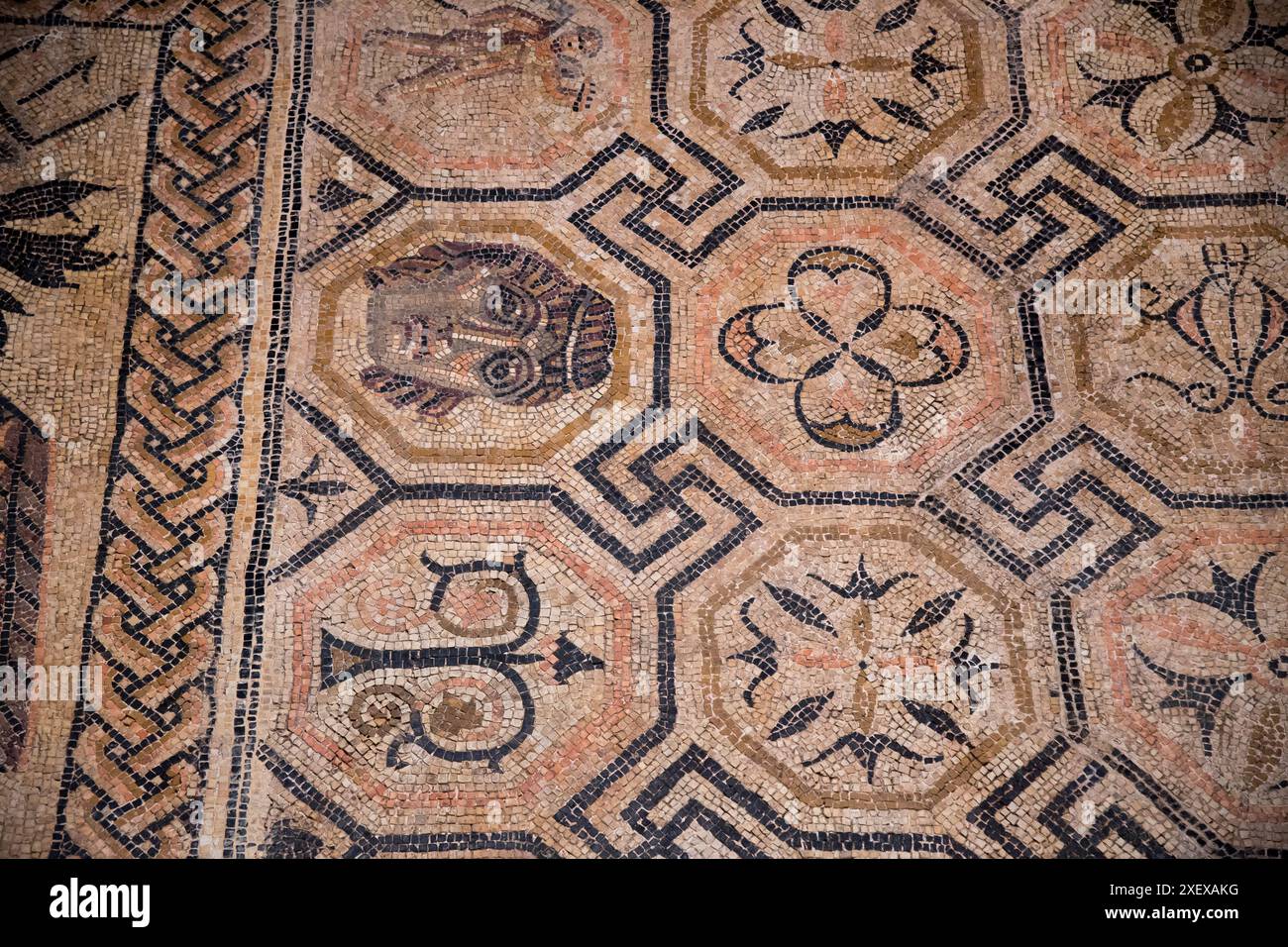 Roman mozaic in Domus dell'Ortaglia, Roman domus from I to IV AD in ...