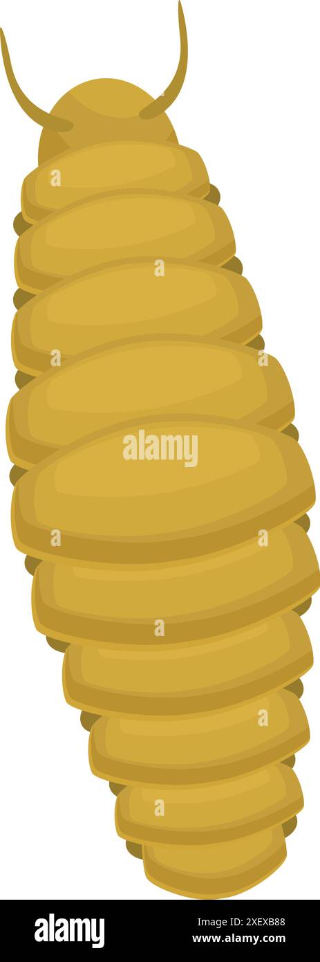 Wireworm larvae isolated on white background showing segmented body ...