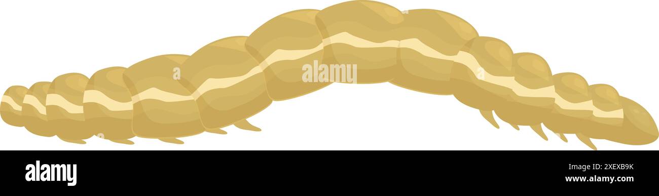 Wireworm larva moving slowly on a white background Stock Vector Image ...