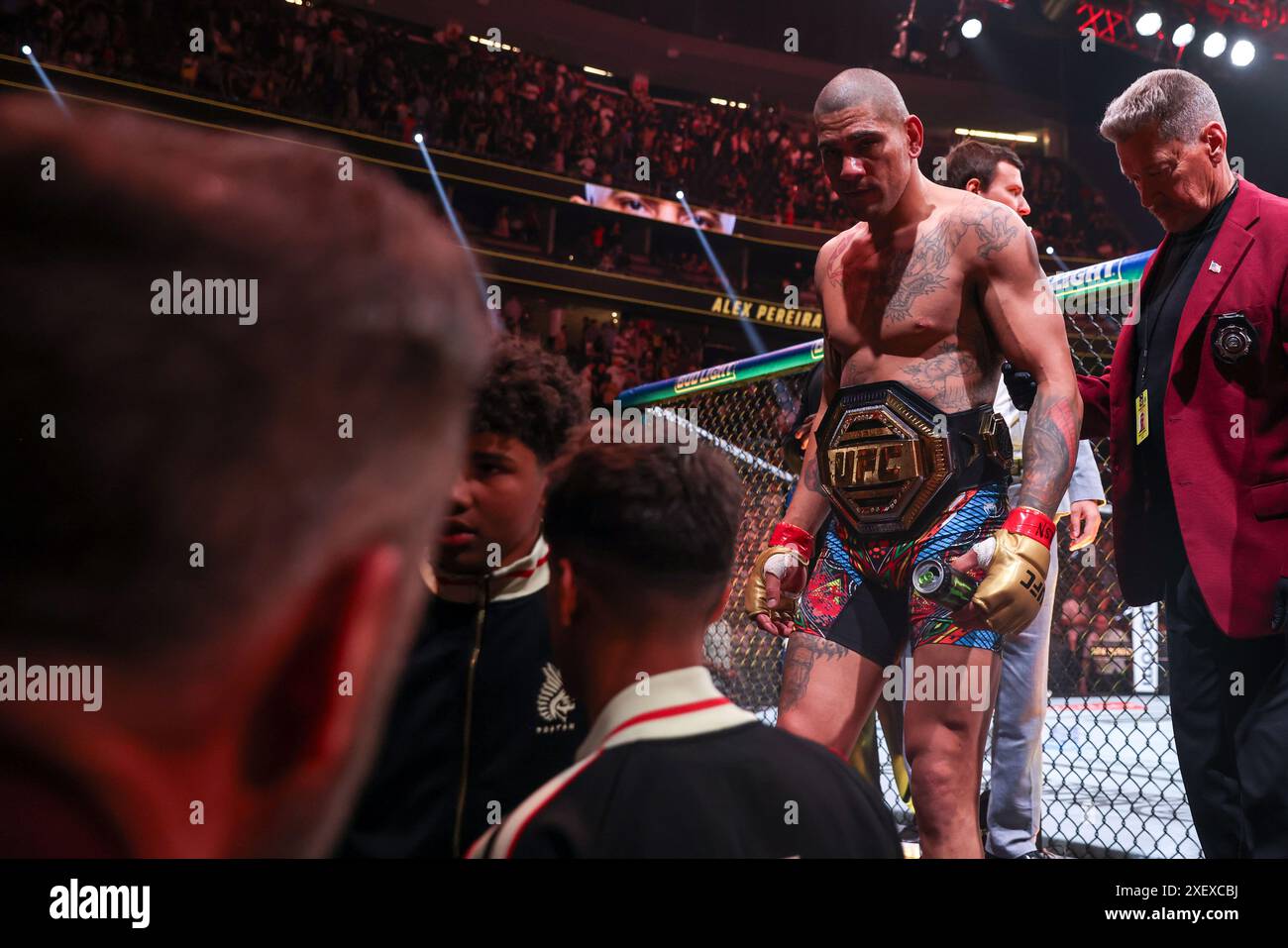 Alex Pereira (red) of Brazil against Jiri Prochazka of the Czech ...