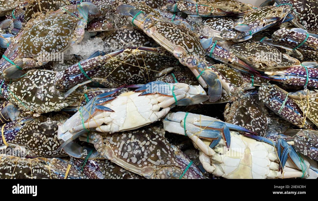 Top view of fresh crabs display in wet market for sale. Seafood concept ...