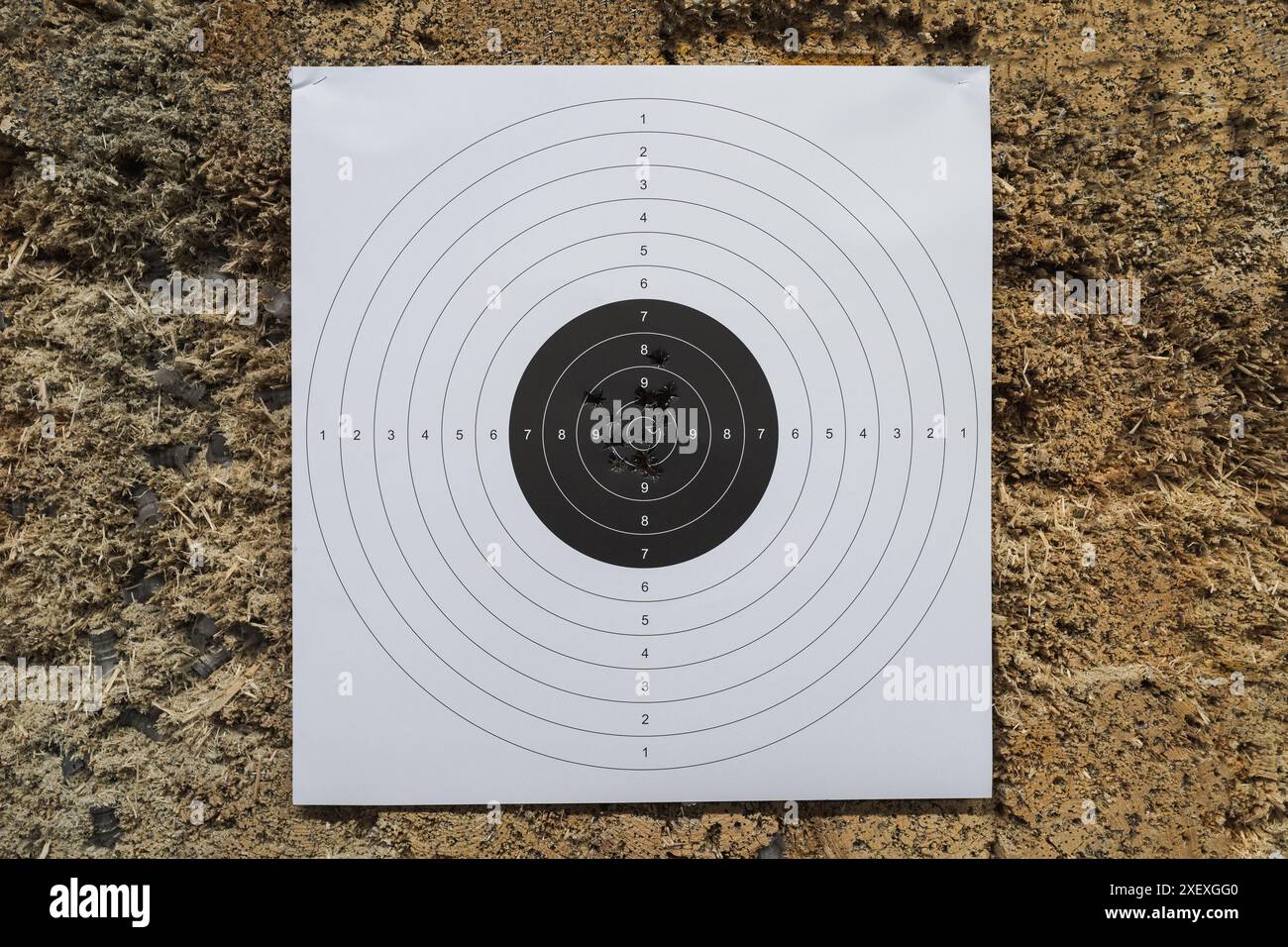 A shooting target with bullet holes in the center in a shooting range ...
