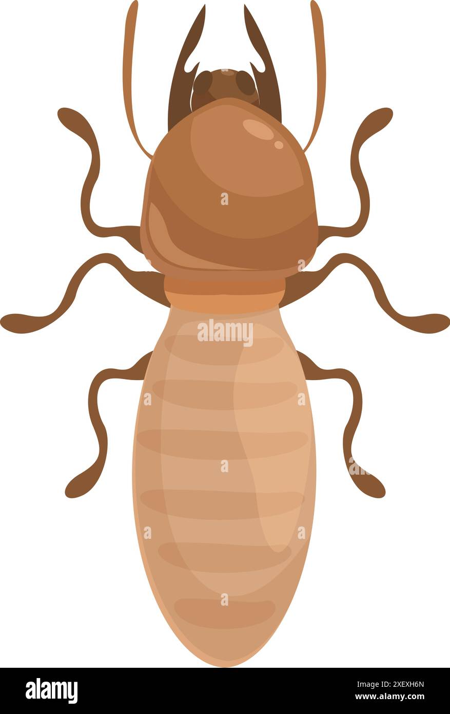 Cartoon termite is standing on a white background Stock Vector Image ...