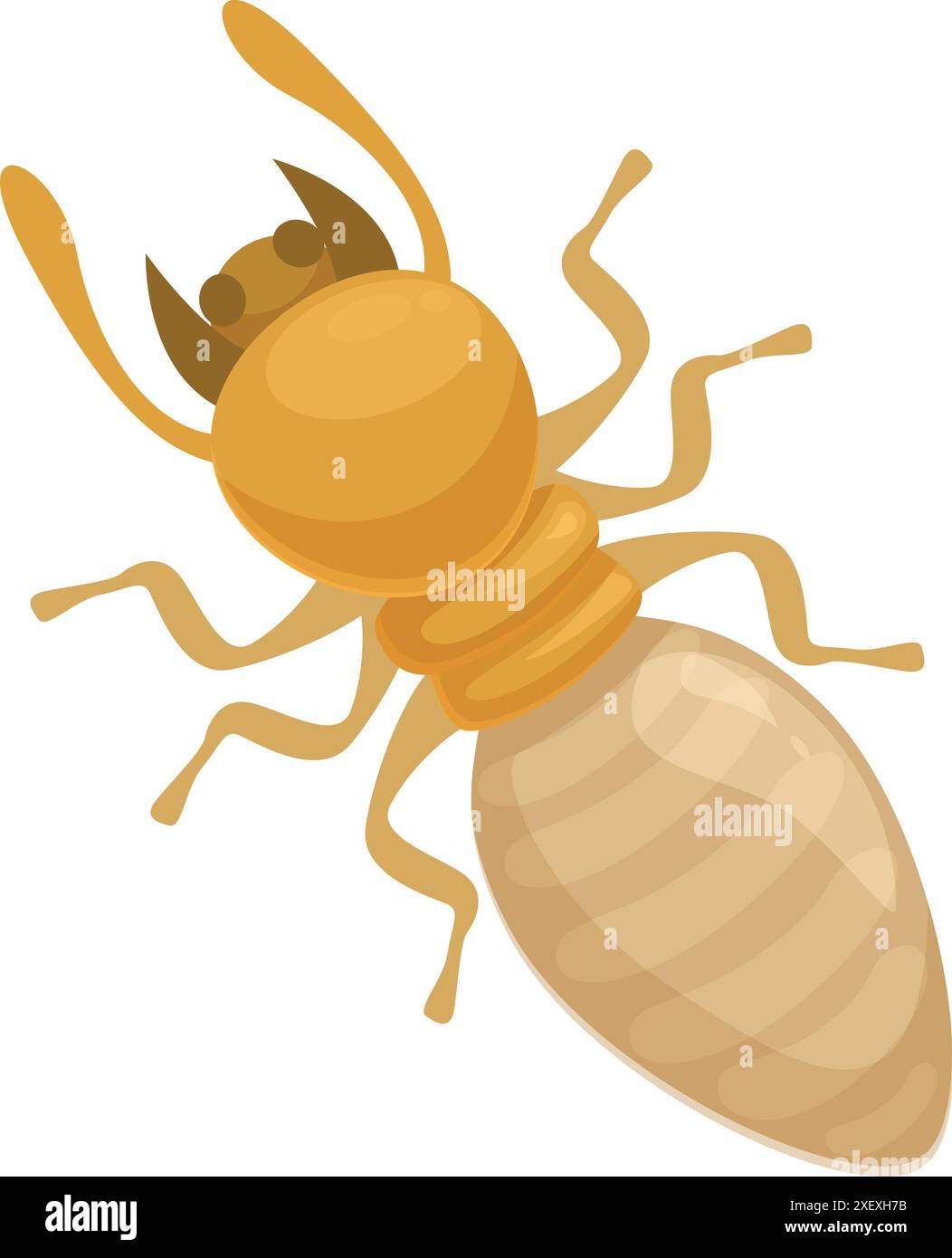 Termite close up insect Stock Vector Images - Alamy