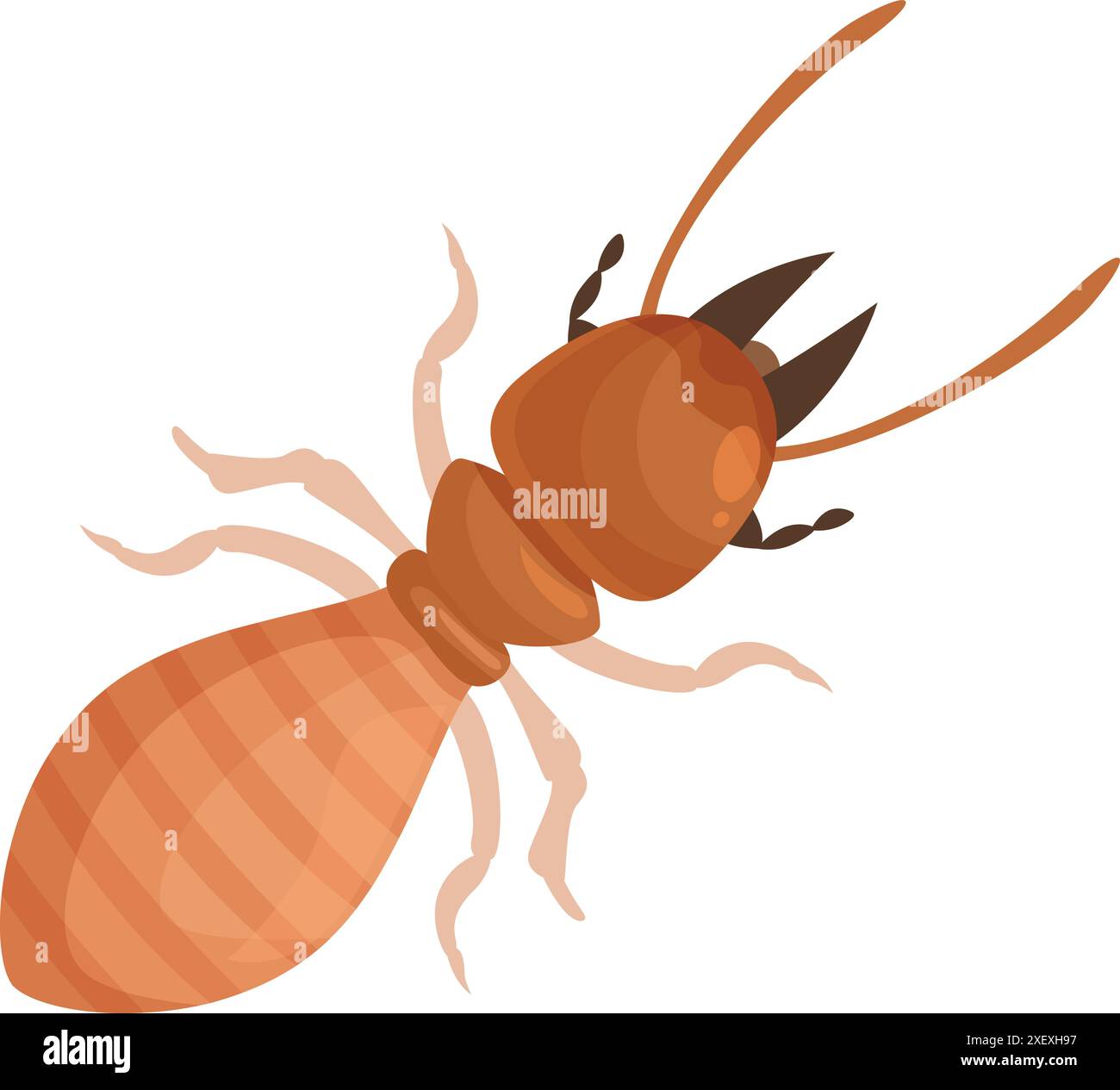 Big brown termite insect crawling on a white background Stock Vector ...