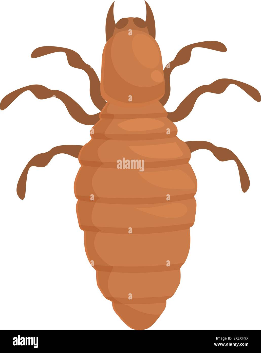 Booklouse insect pest with segmented body and six legs crawling in top ...