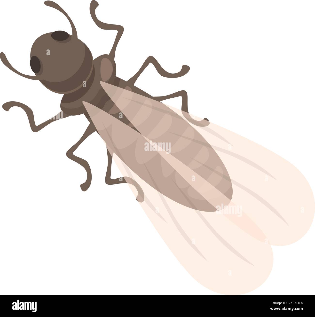 Winged termite Stock Vector Images - Alamy