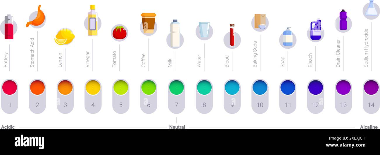 Ph scale icons set. Colorful infographic showing ph scale with common ...