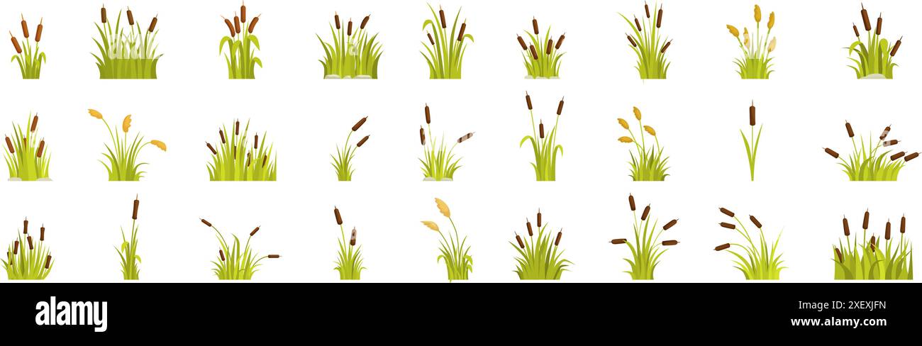 Grass reed icons set. Collection of green reed plants growing in swamp ...