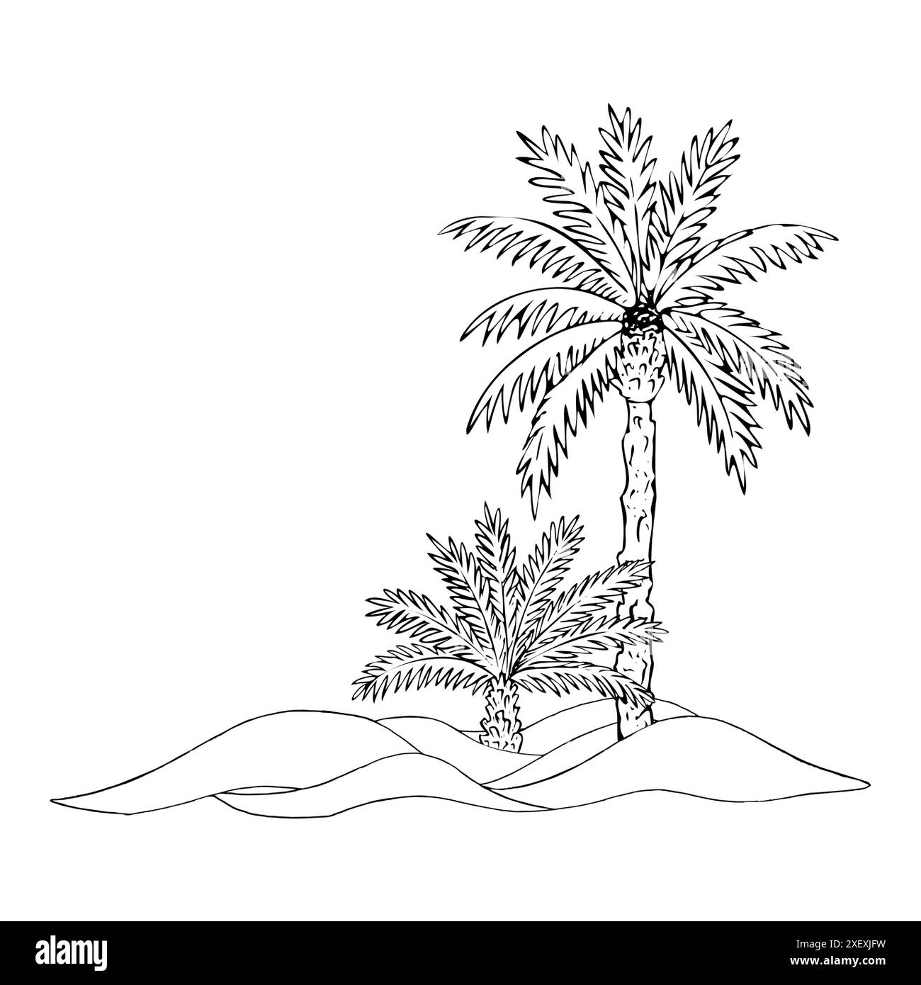 Exotic beach white sand trees Black and White Stock Photos & Images - Alamy
