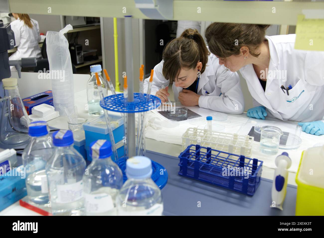 Laboratory research with zebrafish, Biobide is a GLP certified biotechnology company offering ...