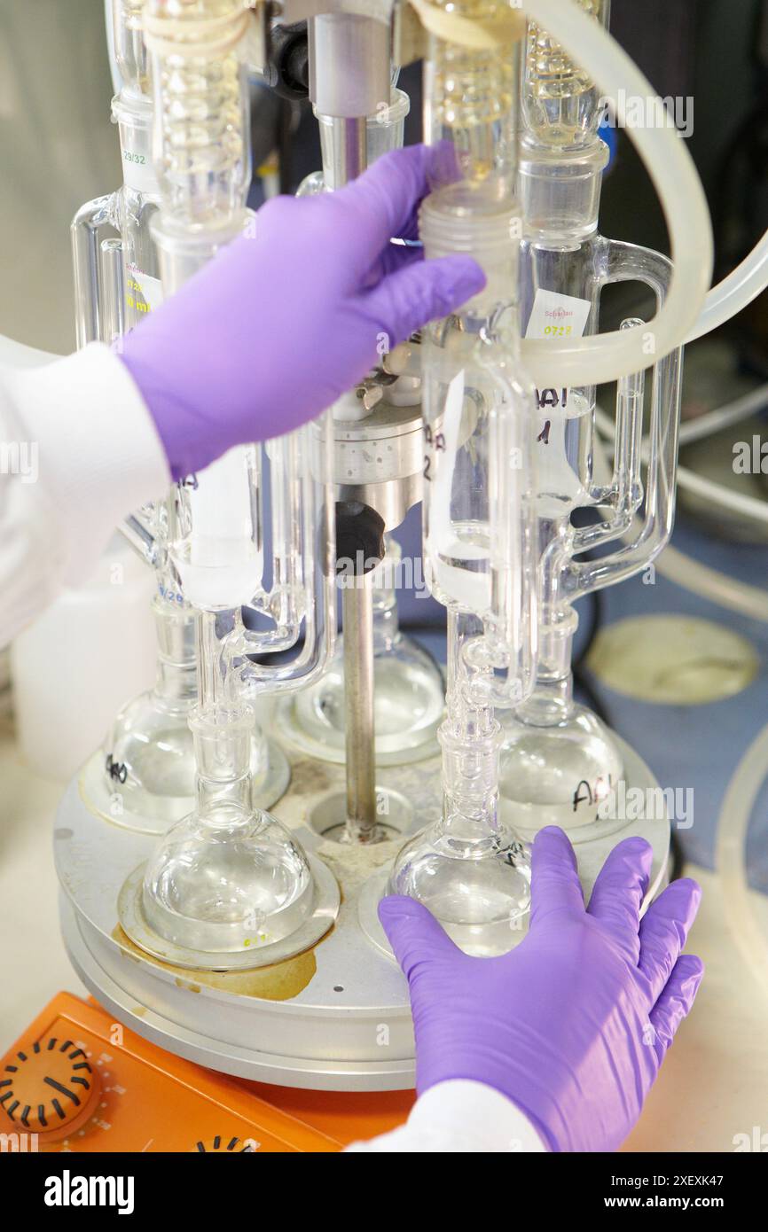 Research on synthesis, assembly and processing of polymers, Basque ...