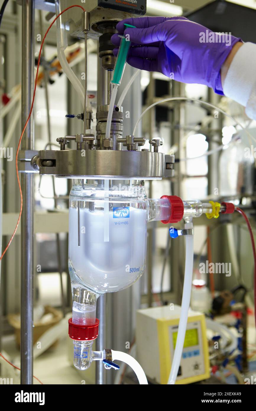 Research on synthesis, assembly and processing of polymers, Basque ...