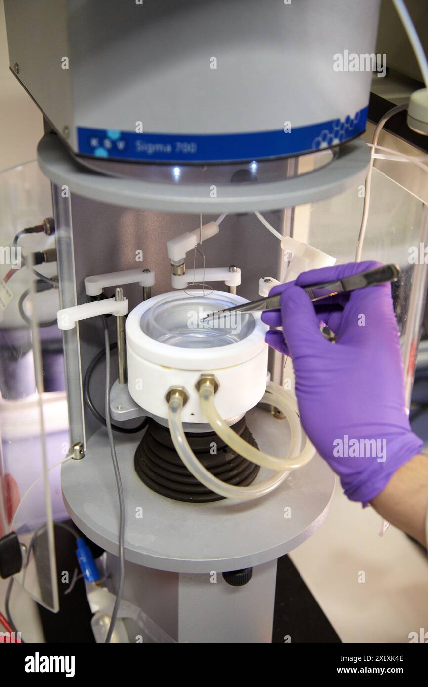 Research on synthesis, assembly and processing of polymers, Basque ...