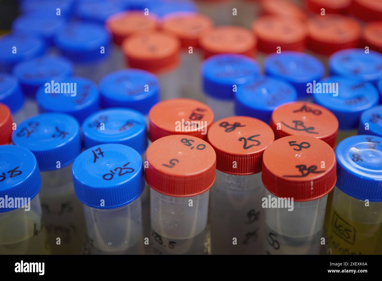Chemical laboratory, materials research Stock Photo - Alamy