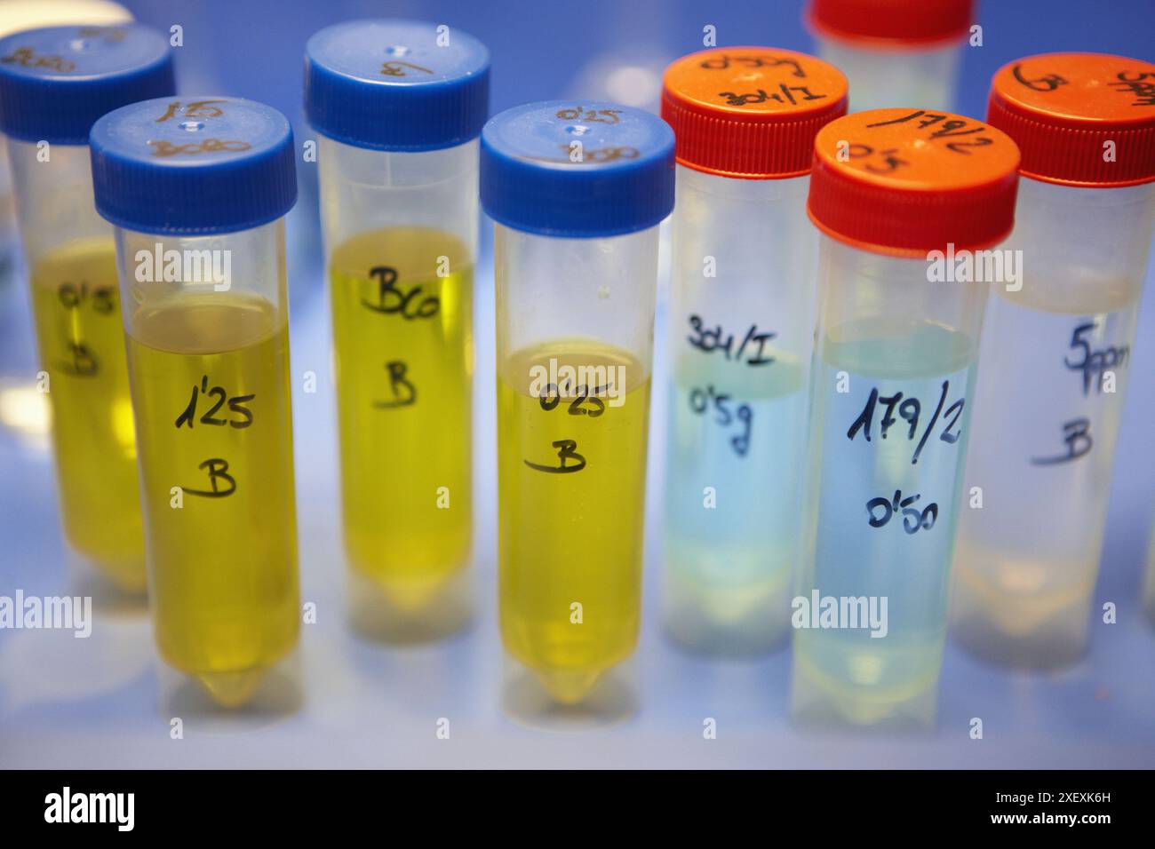 Chemical laboratory, materials research Stock Photo - Alamy