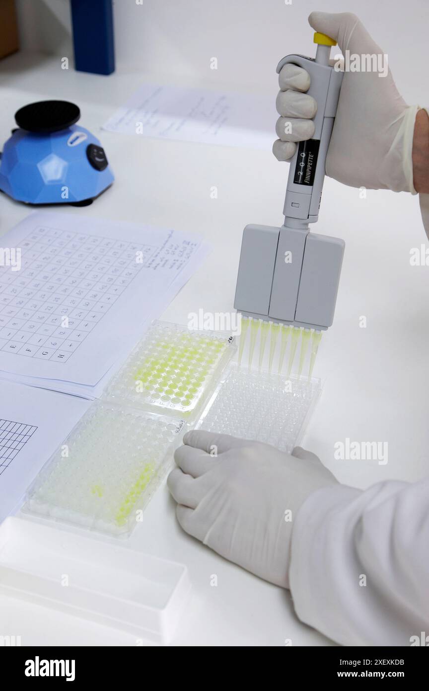 Navarre r hi-res stock photography and images - Alamy