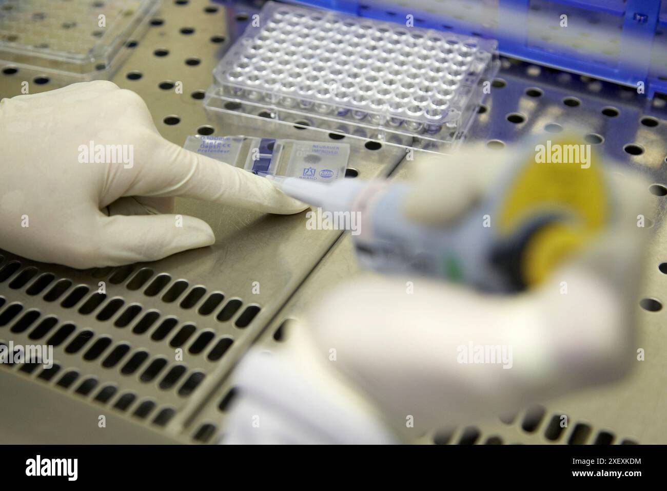 Counting chamber hi-res stock photography and images - Alamy