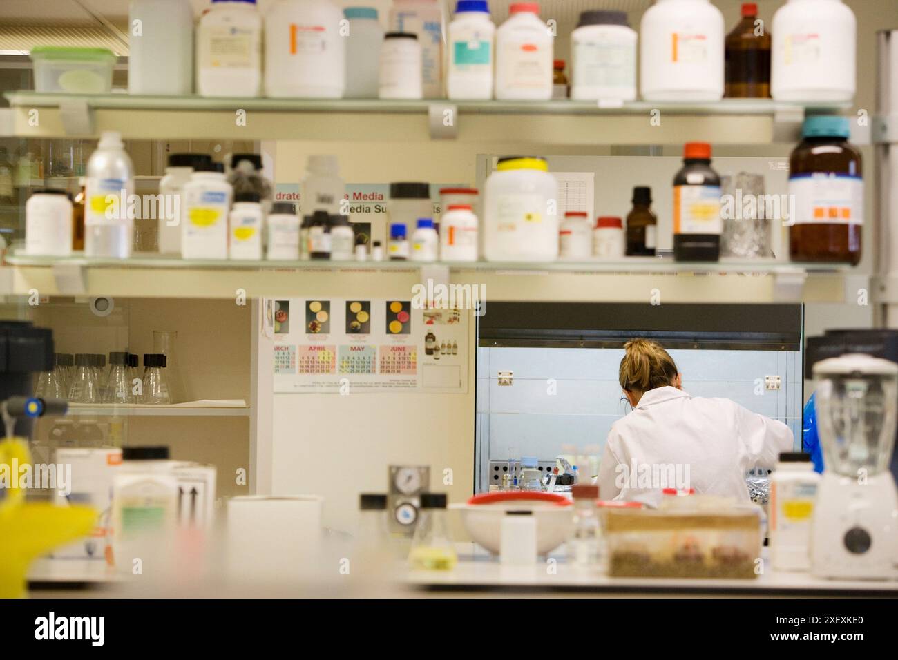 Laboratory of biotechnology hi-res stock photography and images - Alamy