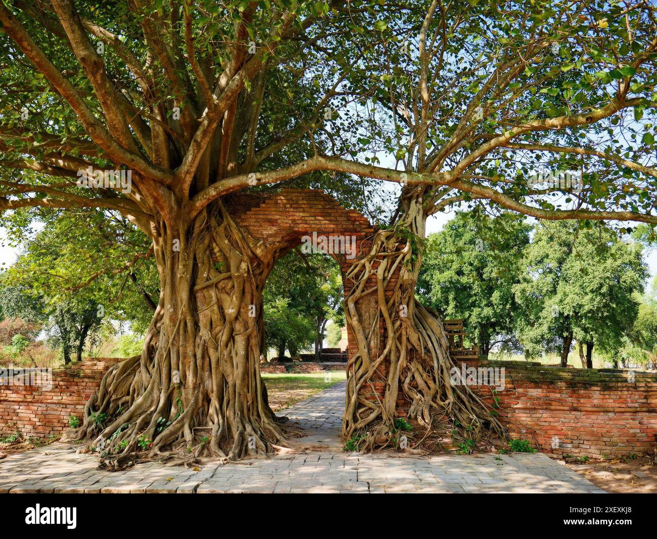 Reclaimed brick path hi-res stock photography and images - Alamy