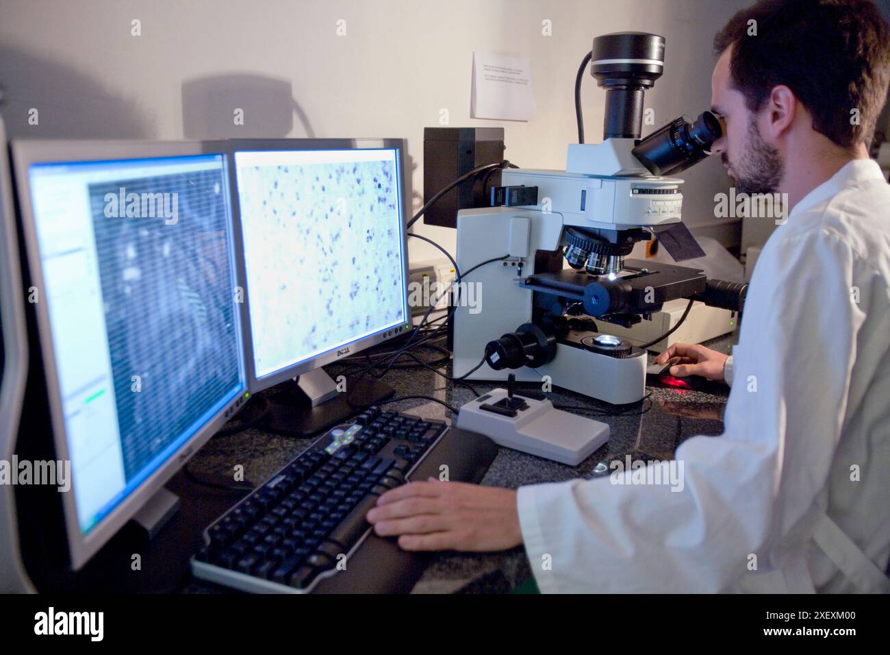 Microscope, Neuropharmacology, IIBB, Institute for Biomedical Research ...