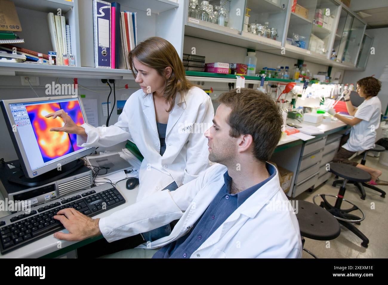 Brain Ischemia and Neurodegeneration, IIBB, Institute for Biomedical Research of Barcelona, CSIC ...