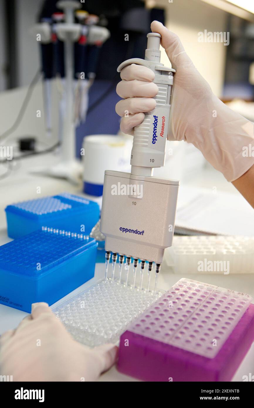 Preparing samples for DNA sequencing, Genomics Unit, DNA and RNA ...