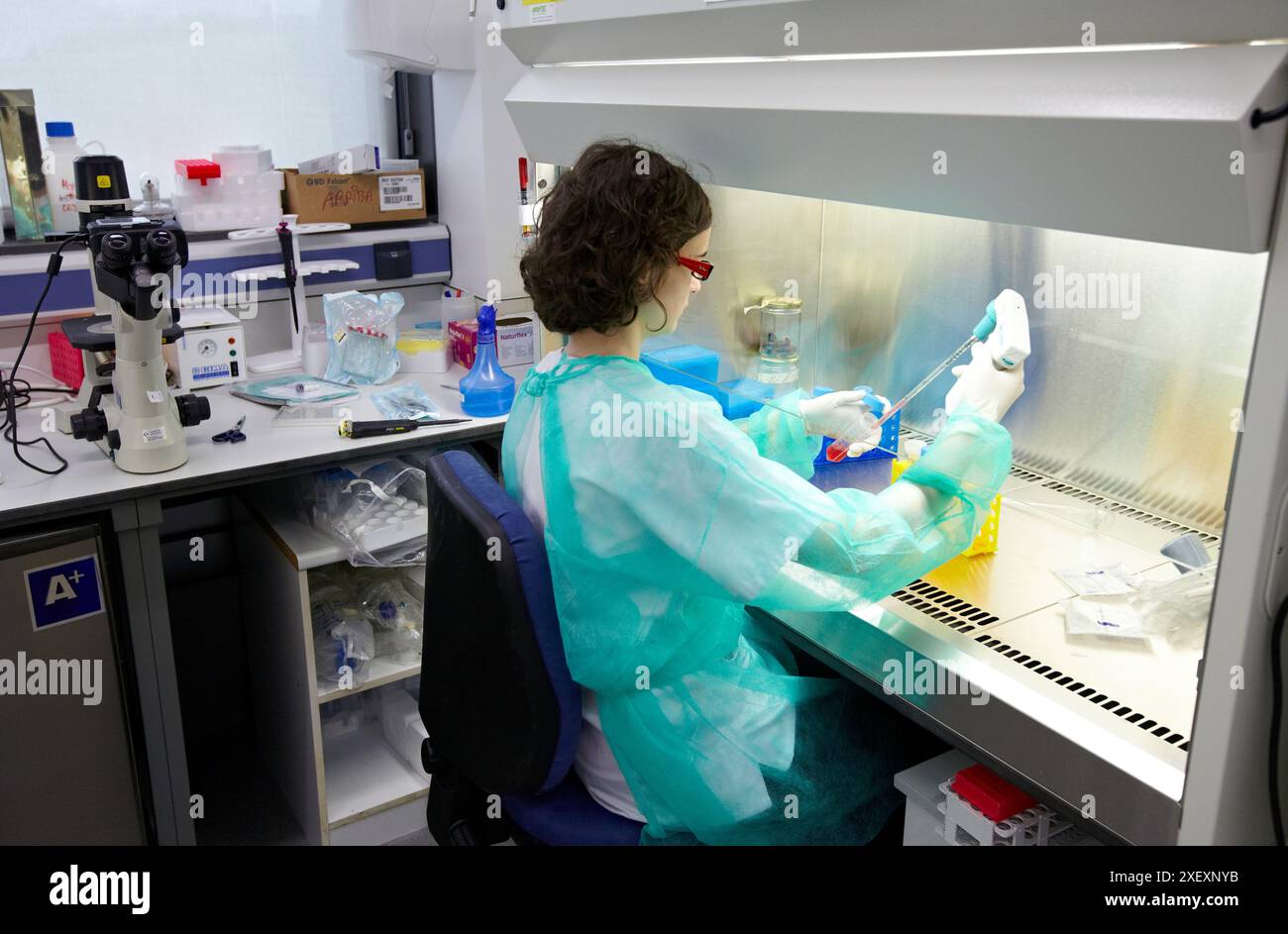 Pipetting cell culture medium, biosafety cabinet, Cell Culture Unit ...