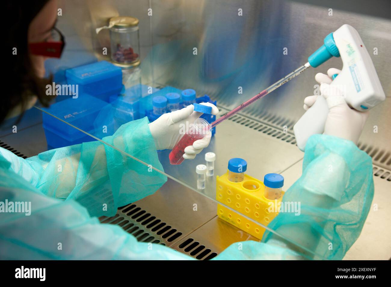 Pipetting cell culture medium, biosafety cabinet, Cell Culture Unit ...