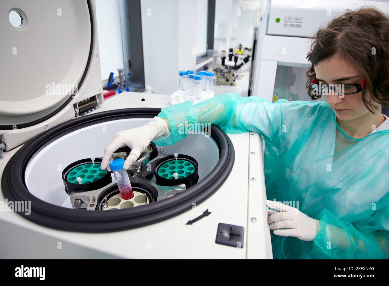 Laboratory centrifuge cell culture hi-res stock photography and images ...