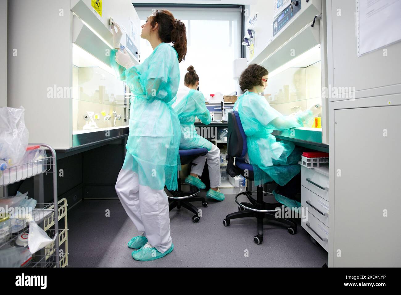 Biosafety cabinets, Cell Culture Unit, Research in Oncology and ...