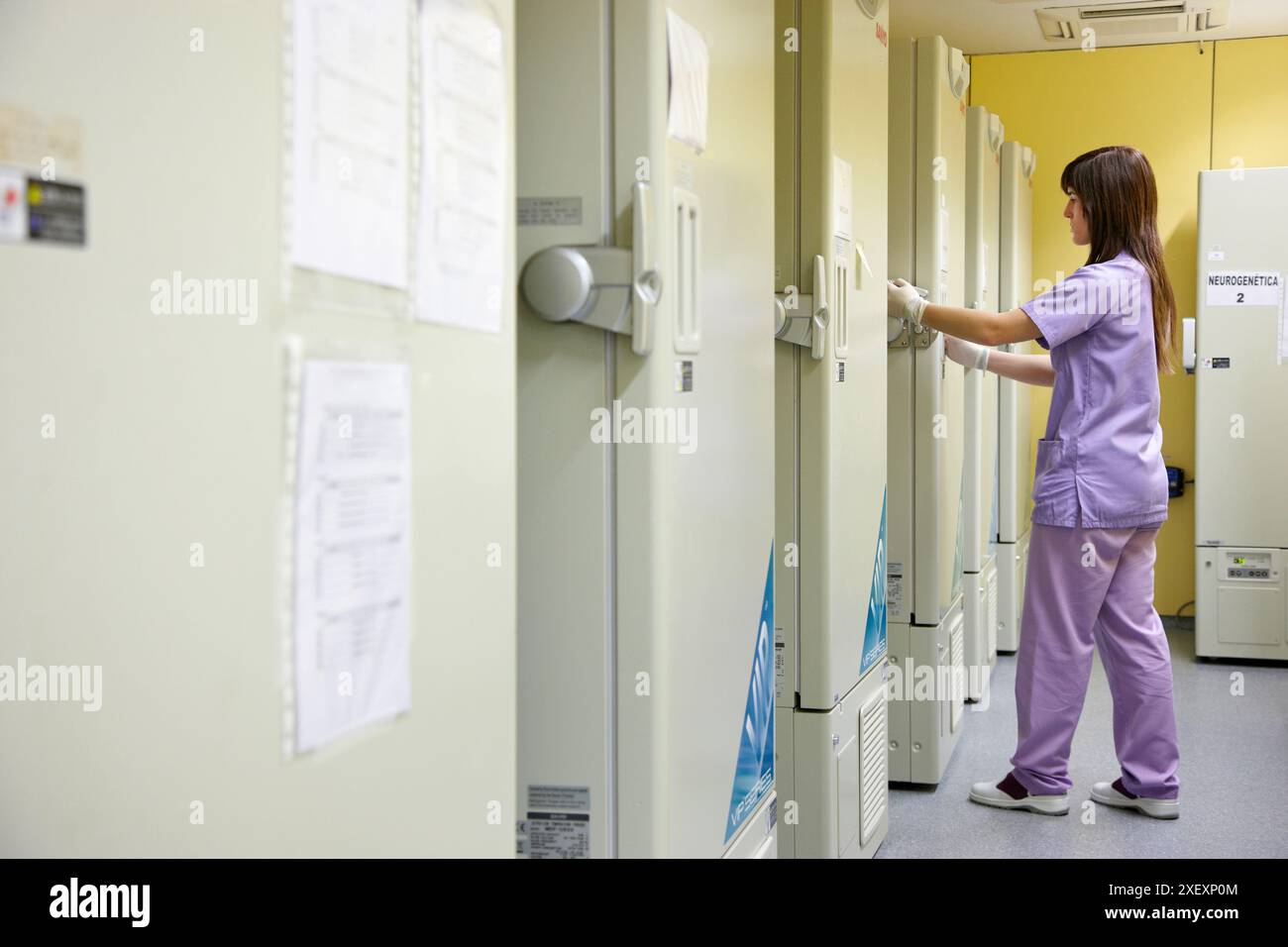 Storing samples in refrigerator at -80º C, DNA and RNA biobank ...