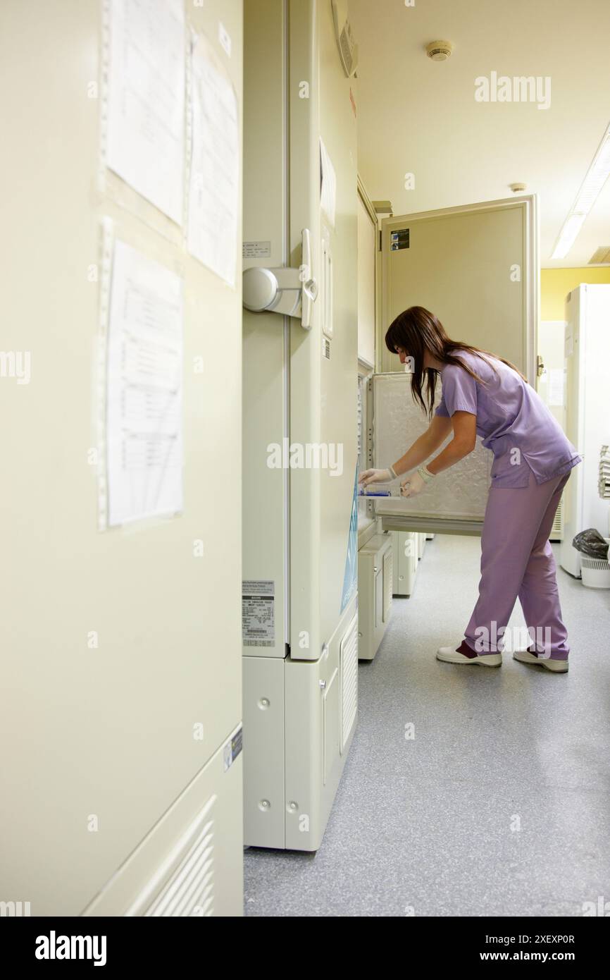 Storing samples in refrigerator at -80º C, DNA and RNA biobank ...