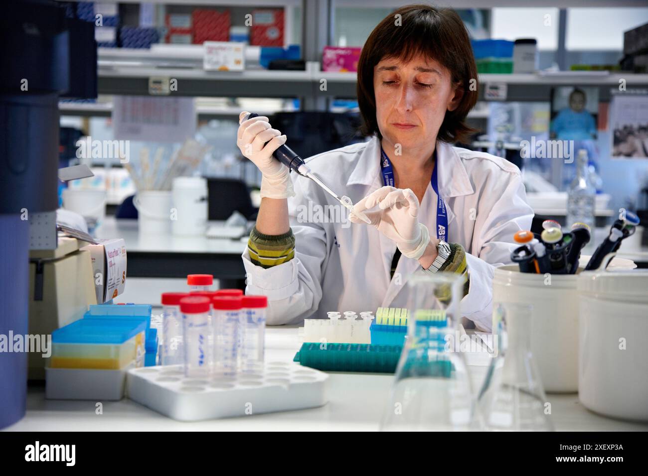 Laboratory technician using micropipette, Neuroscience lab, Research in neuromuscular disorders ...