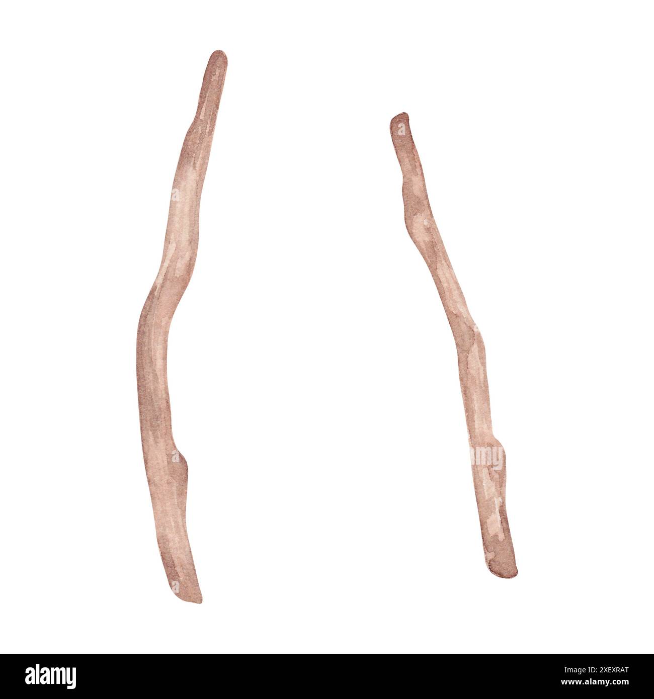Wooden branch. Watercolor illustration. Object made of tree branches ...