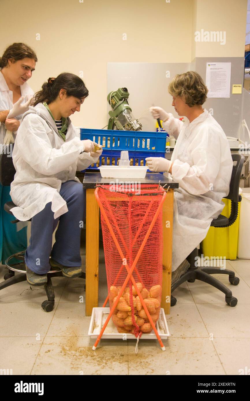 Potato diseases plant health laboratory hi-res stock photography and ...