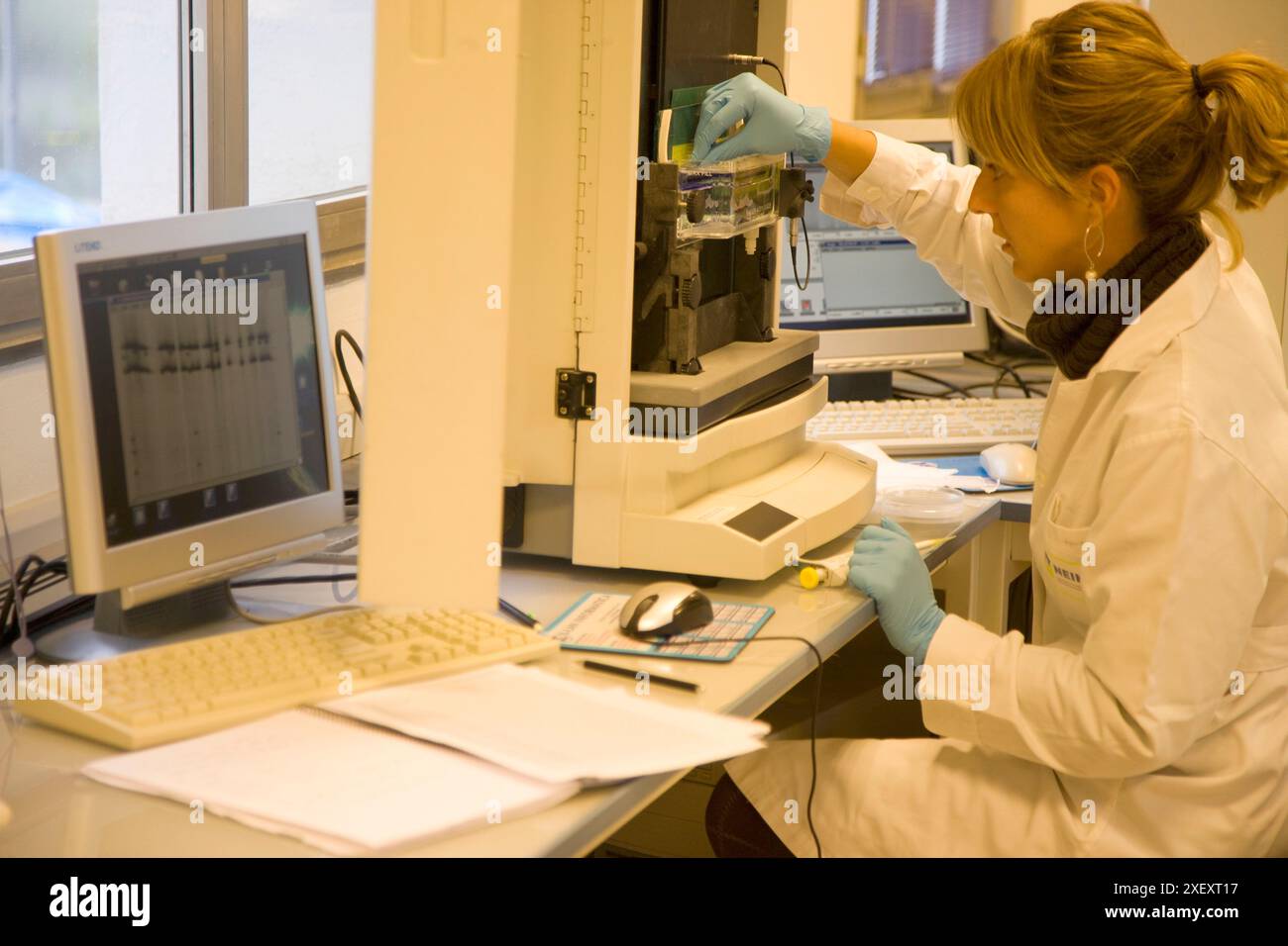 Polyacrylamide gel electrophoresis. Automatic sequencer. LICOR system ...