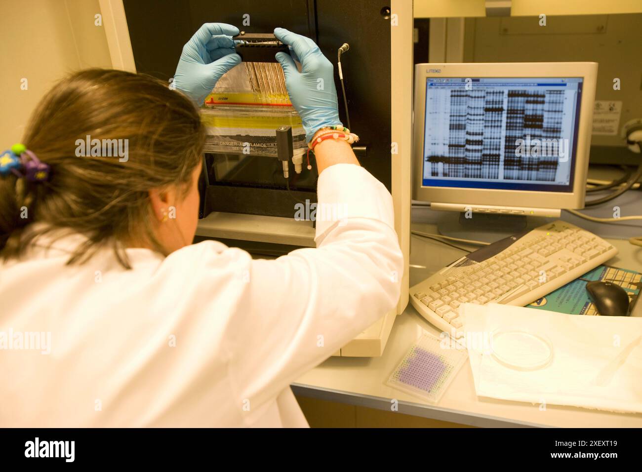 Polyacrylamide gel electrophoresis. Automatic sequencer. LICOR system ...
