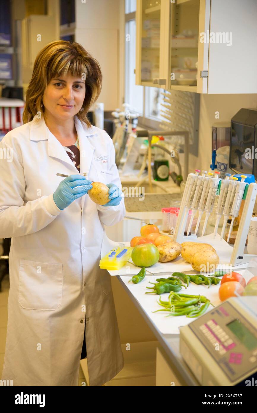 DNA extraction, Food and Polymerase Chain Reaction (PCR), Biotechnology ...