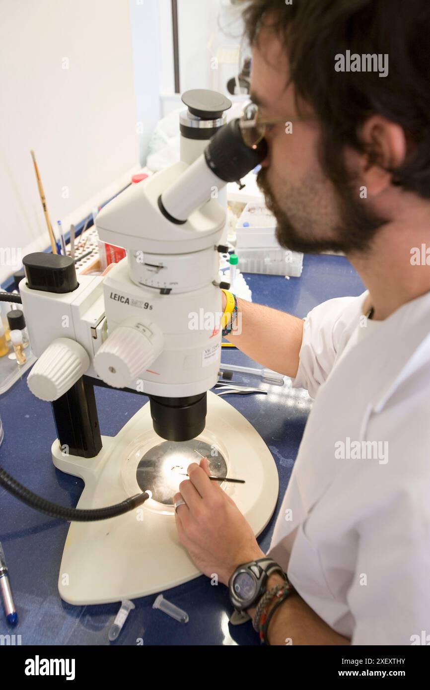 Investigación vertical hi-res stock photography and images - Alamy