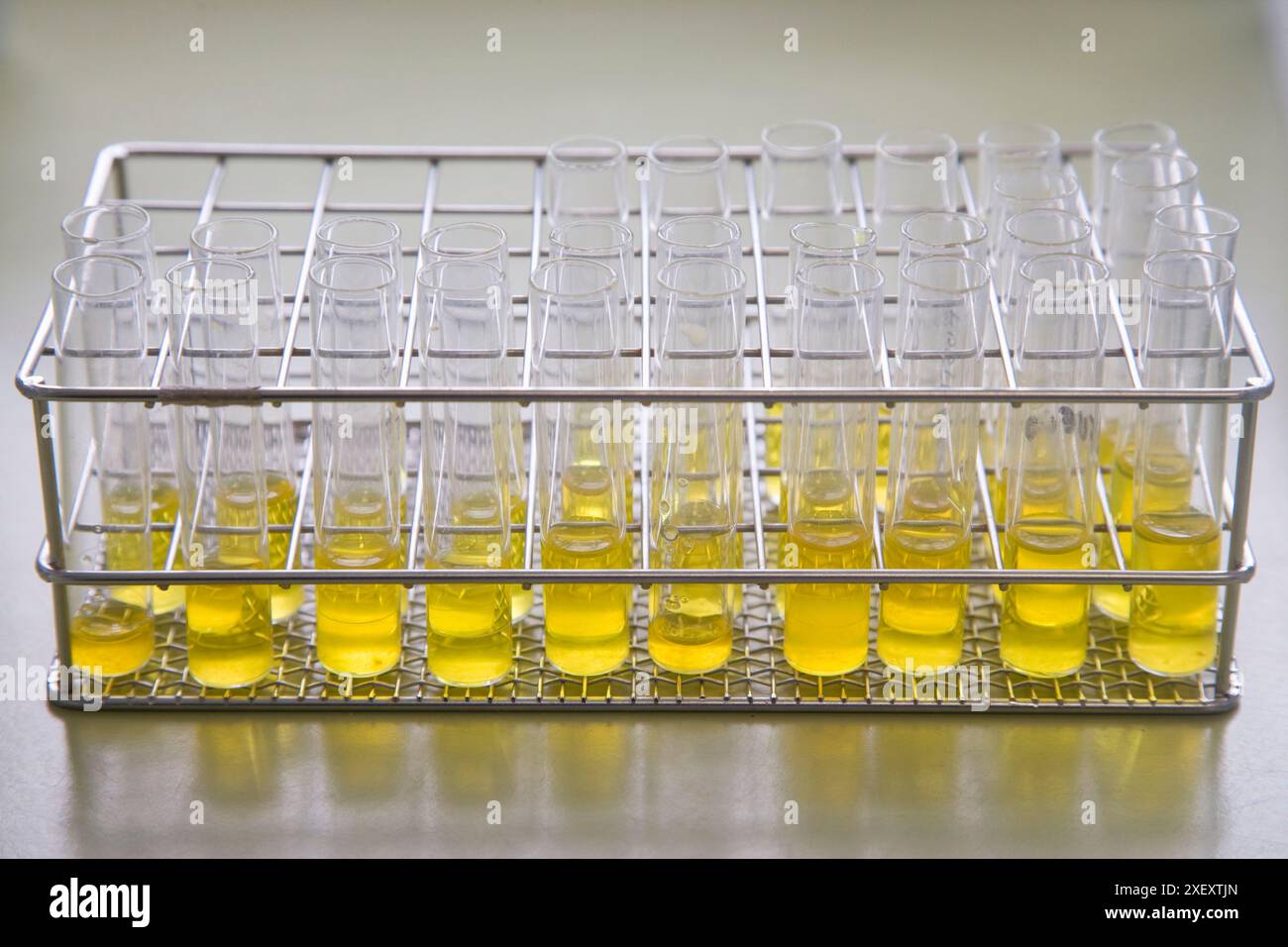 Potato quality analysis hi-res stock photography and images - Alamy
