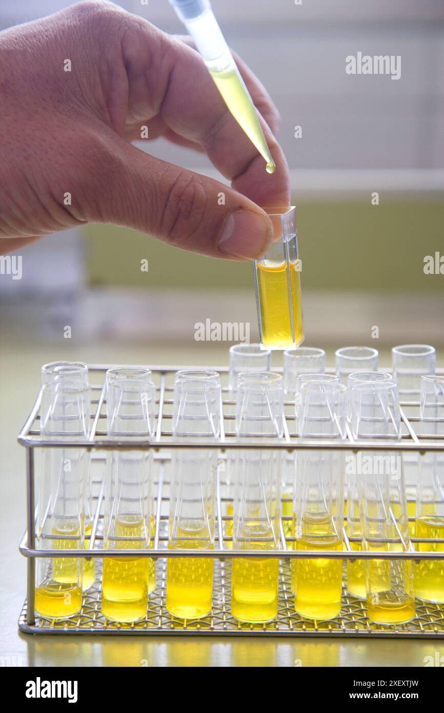 Potato quality analysis. Quality Laboratory, Neiker Tecnalia, Instituto ...
