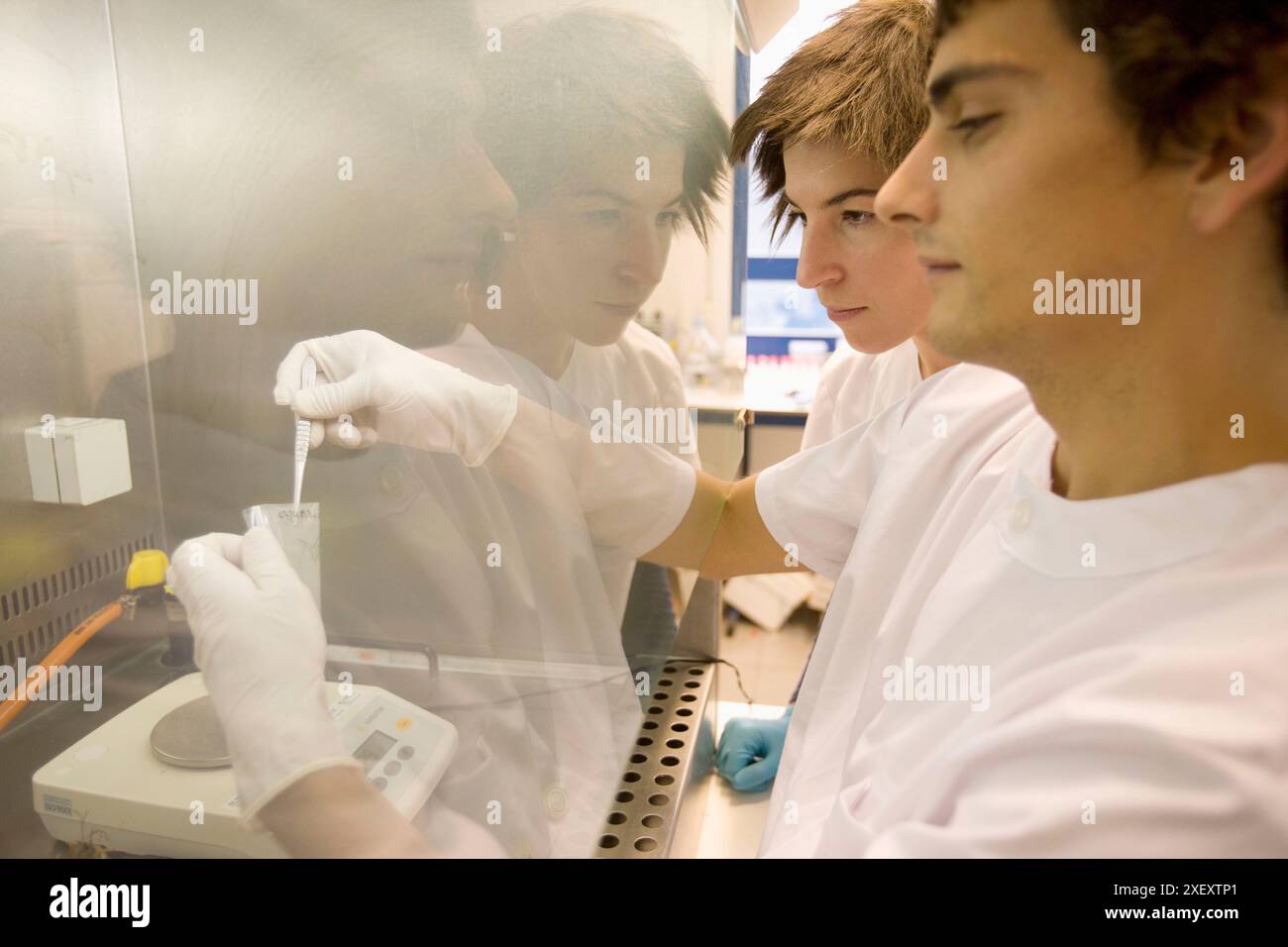 Biosafety cabinet, weighing sample, Laboratory of Bacteriology ...