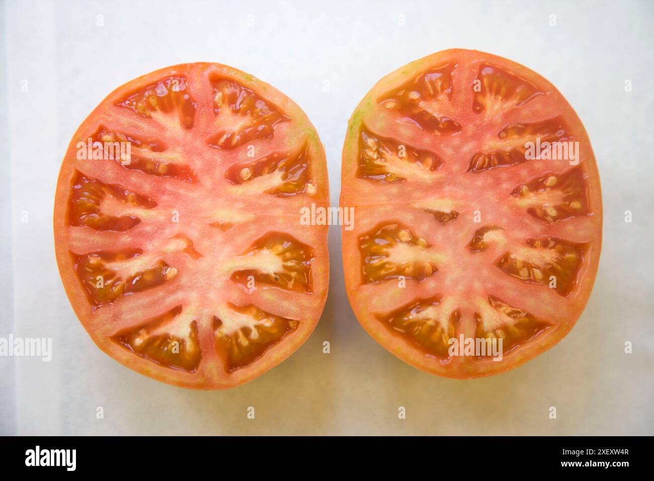 Tomato cultivar Jack, Laboratory of Horticulture, Departamento de ...