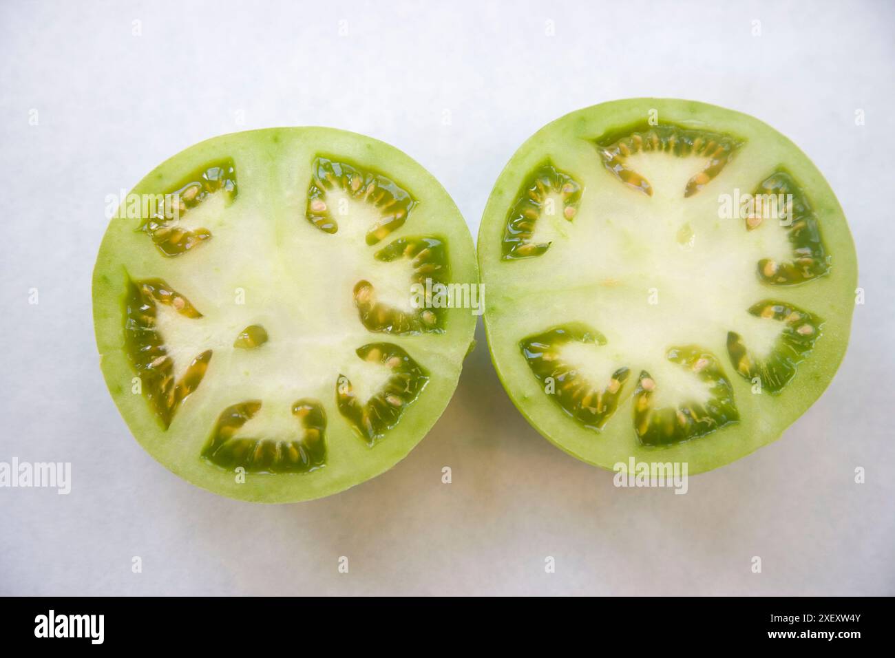 Tomato cultivar Optima, Laboratory of Horticulture, Departamento de ...